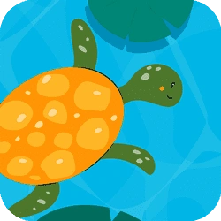 Turtle Math | Play HTML5 Games with Game for Kids